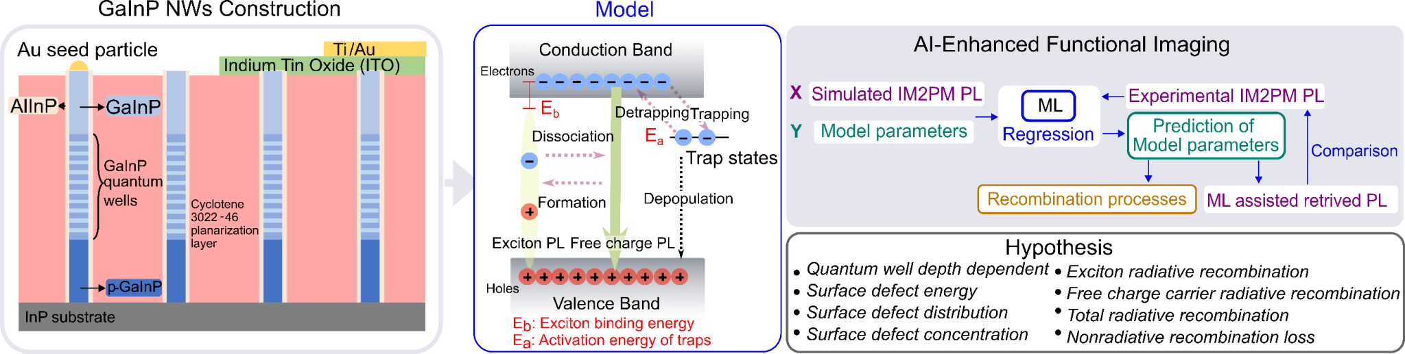 Optimizing New Generation Sustainable GaInP Nanowire based micro-LEDs ...